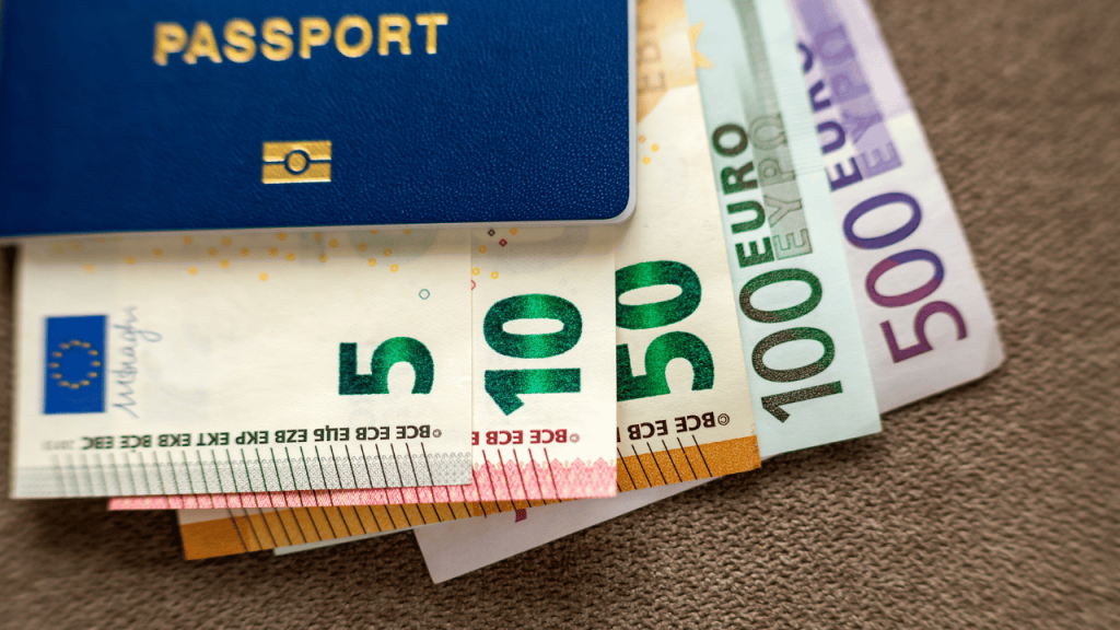 Securing Citizenship by Investment: A Comprehensive Guide – CCS ...